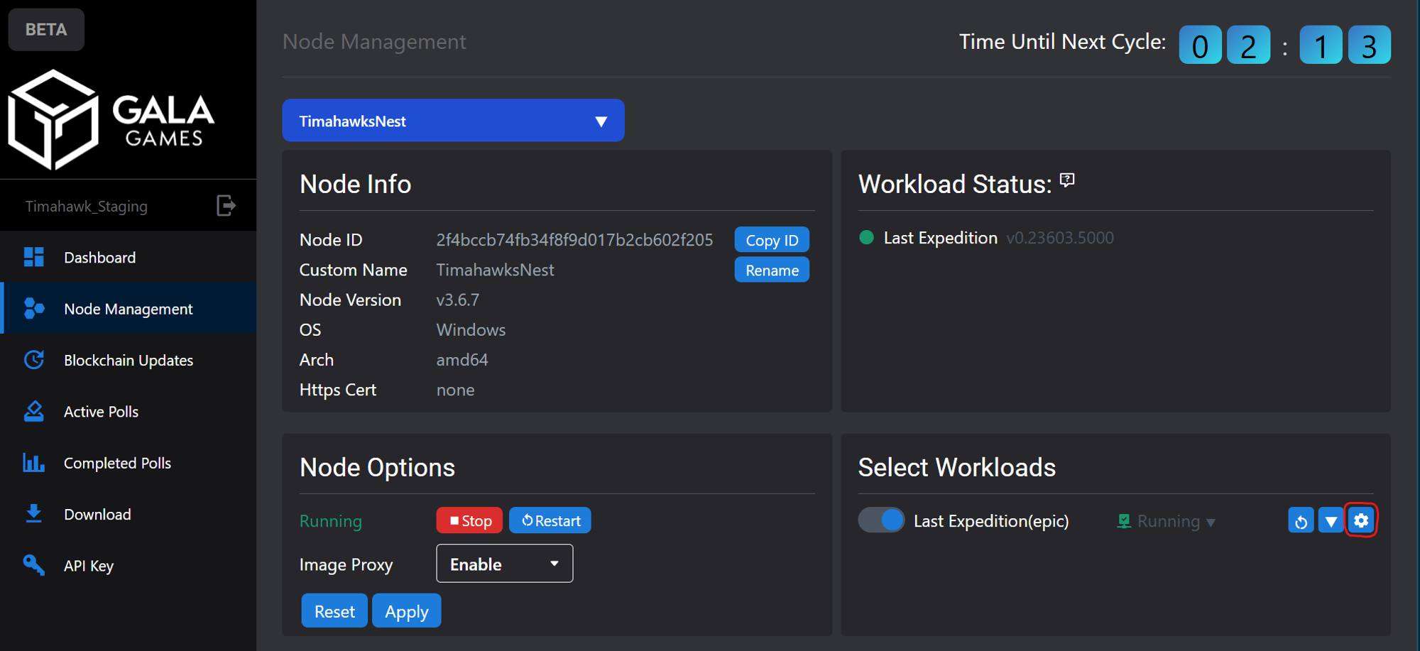 Setup a Last Expedition Node – Gala